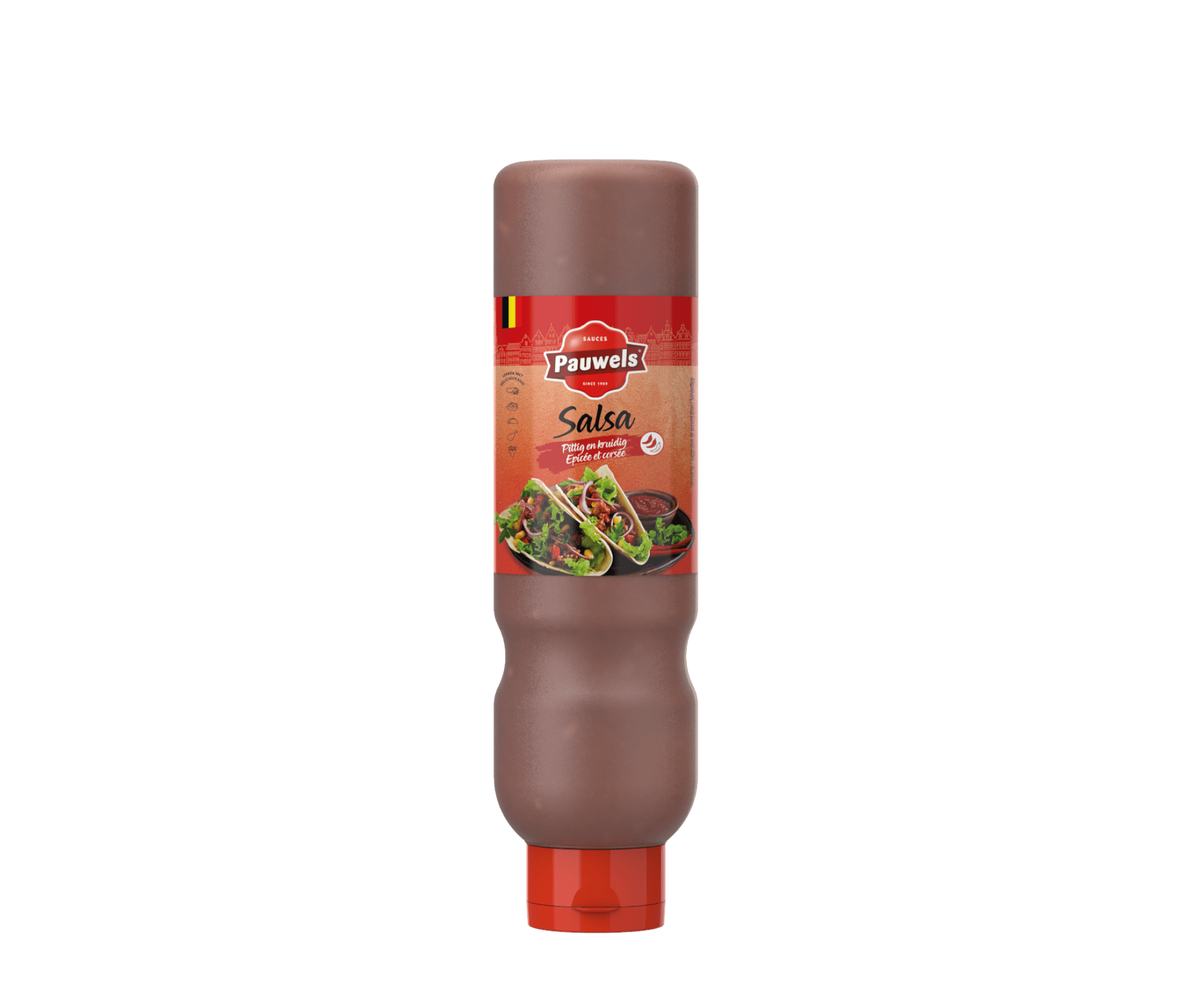 Pauwels Salsa 1L tube | Pauwels Sauzen